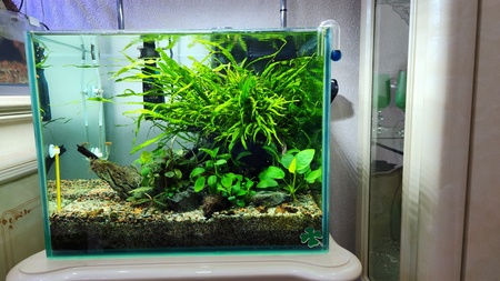 Аквариум Akvarium