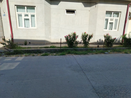 N1503 Toshkent tumani Toshmi postidan 7 km ichkarida 3.3 sotix