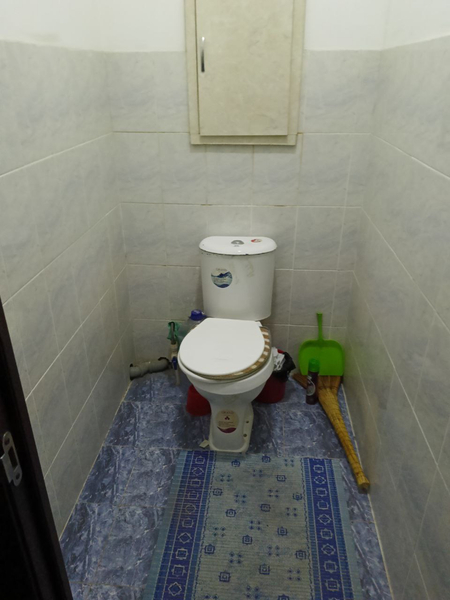 Sergili yangi xayot