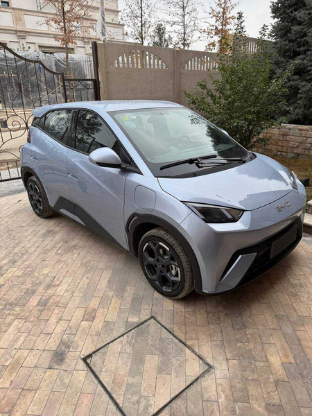 BYD Seagull 2025 Модель