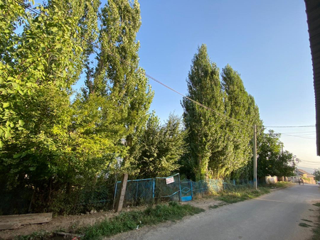 дом Чарваке около бочка