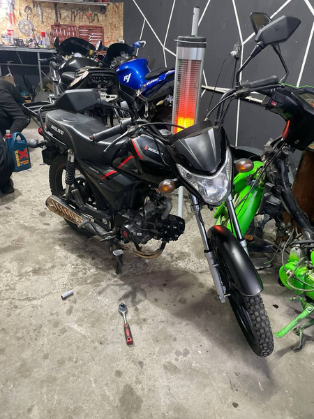 Moped Bikeland  2023 Alpha standard 49sm³