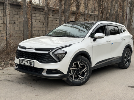 Шины Bf Goodrich 245/65 r17 на Kia Sportage;почти новый