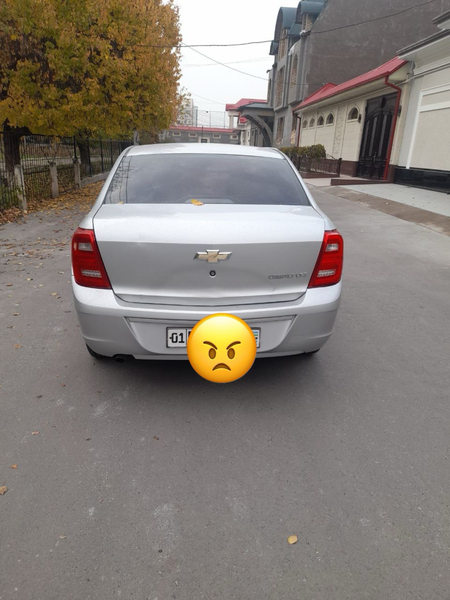 Cobalt eganiki olib sotar bezovta qimasin kraska bor halol