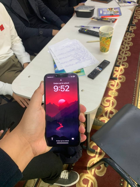 iPhone 13 pro hamma joyi radnoy 100%