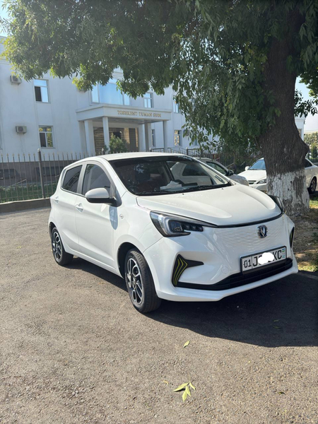 Changan ben ben e star