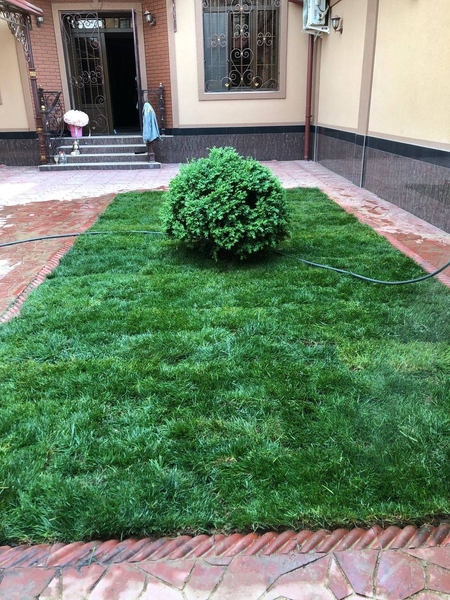 Gazon ekamiz landshaft qlamiz garantya 100%