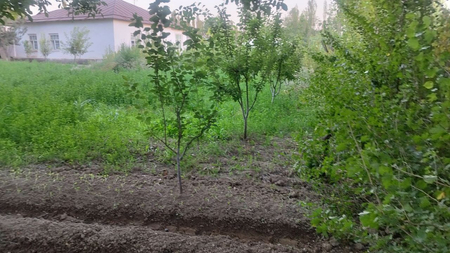 Ер сотилади, yer sotiladi, zudlik bilan! 1 сотиги 3100 $