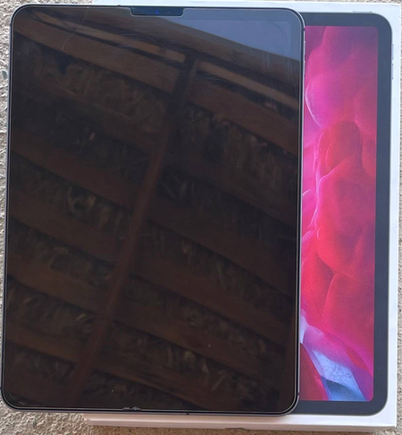 iPad Pro (11‑дюймовый) (2‑го поколения) 256гб