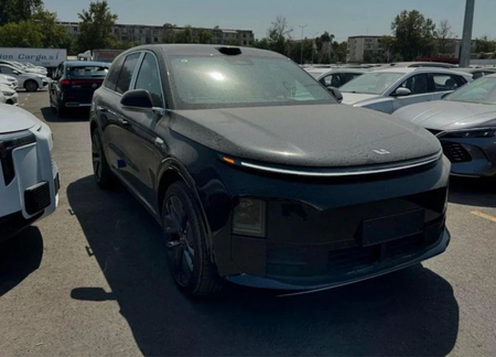 Lixiang Li 6 max срочно в наличии