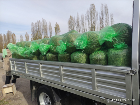 Силос копланган 20 кг копда 18000 сум
