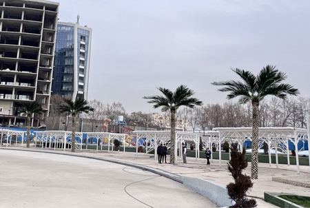Palma sun'iy Искуственные пальмы на заказ