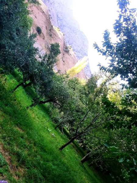 Dachabob uy.Arzonga