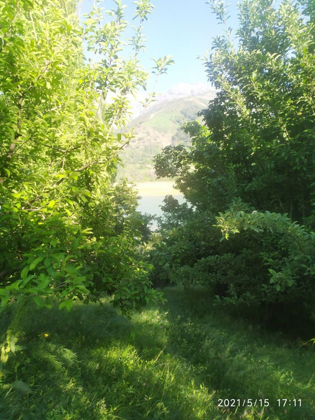 Dacha sotiladi. Продаётся дача. Природа номер Сижжак 8+12 сотих.