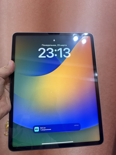 Ipad pro 12.9 M2 256gb wifi в идеальном состоянии только зимой купили