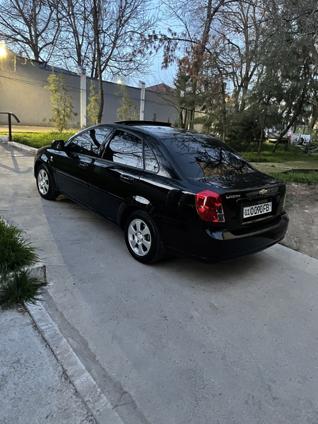 Жентра 2022 краска тозза