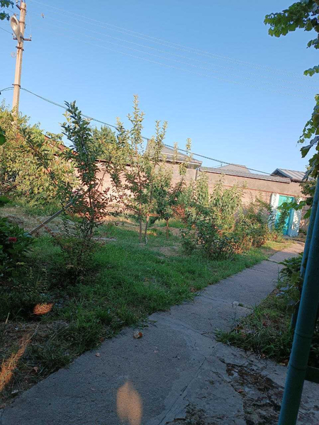 Дачный участок в Паркентском районе