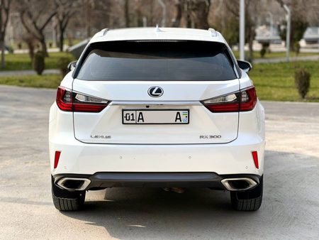 Lexus RX300 Luxury 2019 год