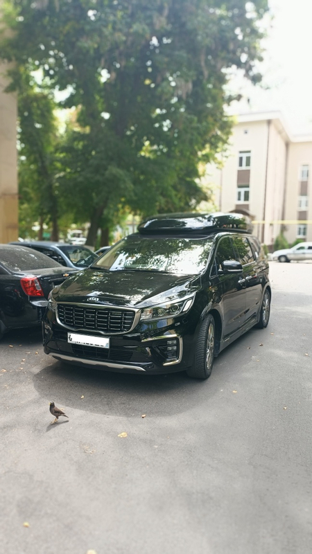 KIA Carnival HI-LIMUZIN в отличном состоянии