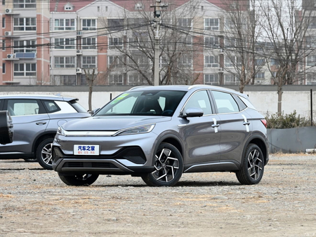 Отвезу в горы на BYD