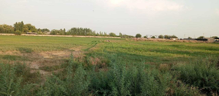 Ferma srochna sotiladi