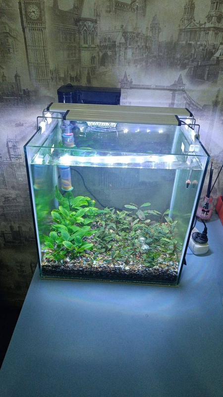 Продаётся аквариум 40*40*35