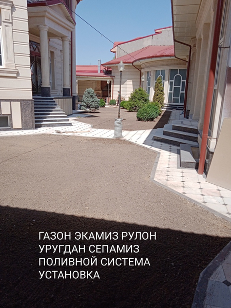 Газон, уругдан сепамиз, поливной