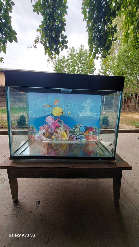 Akvarium sotiladi xolati yaxshi suv qoymidi kley yengi