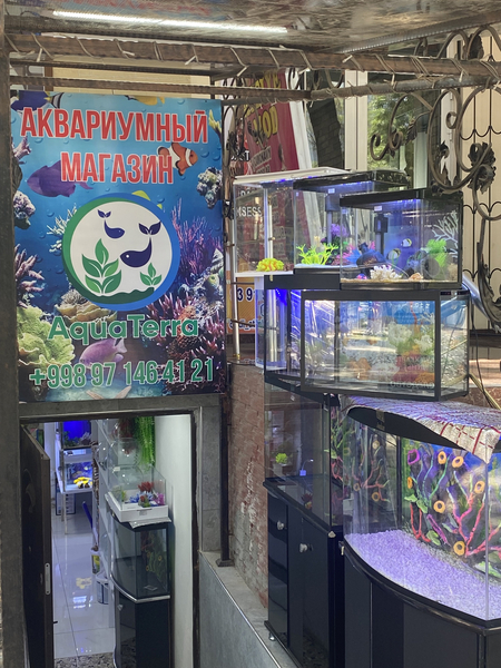Akvariumlar Magazin