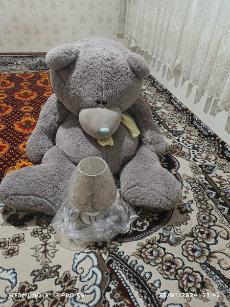 Yastiq miyaxki sivitnil