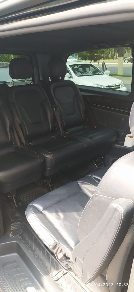 Mercedes Viano 2017