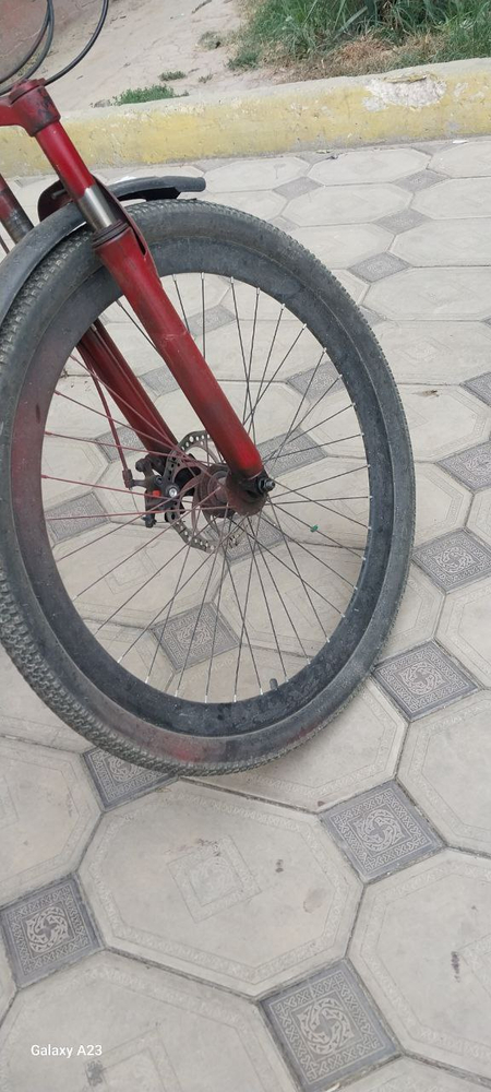 Velik sotiladi razmeri 27