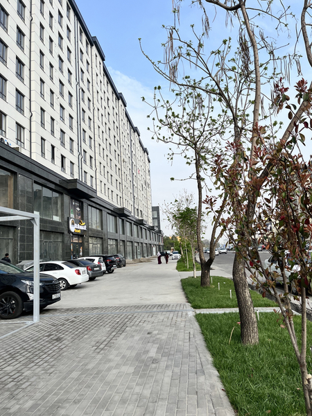 3 Qavat ENG ARZON kadastrli karobka ЦЕНТР