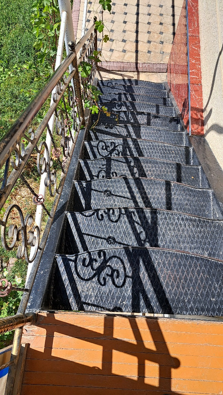 O'g'il Bola studentlarga Tarix fakulteti yaqinida
