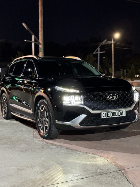 Hyundai Santa Fe 3.5 V6 Full