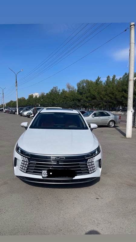 BYd Chazor 2.поз