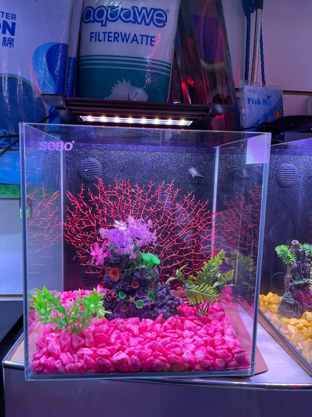 Akvarium va baliq dokoni