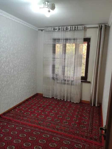 #143  Ц-4 Алайский Ардус