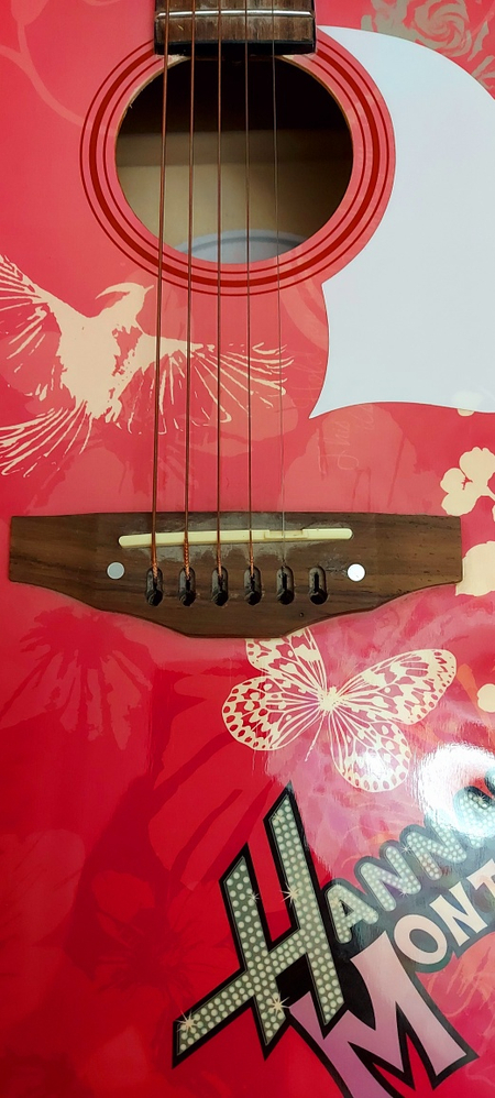 Gitara Disney Washburn