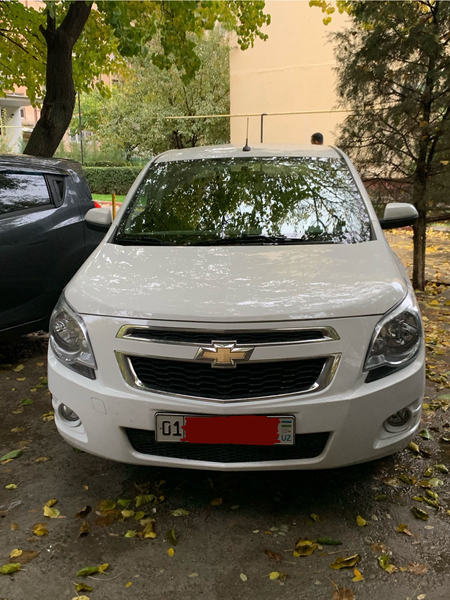 COBALT 2024 LTZ abc bor
