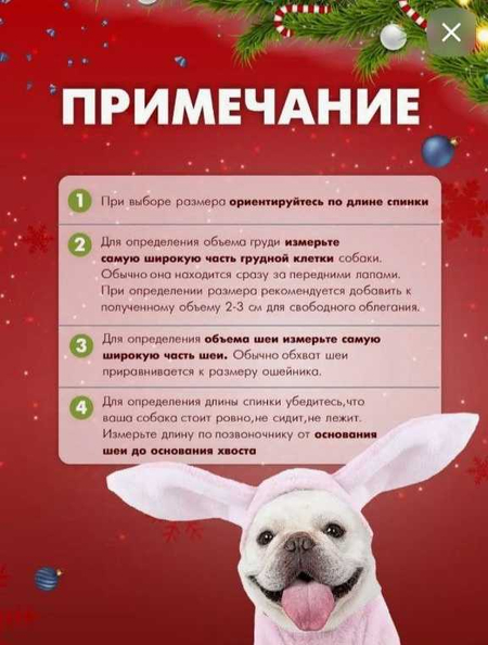 Комбинезон для собак и кошек