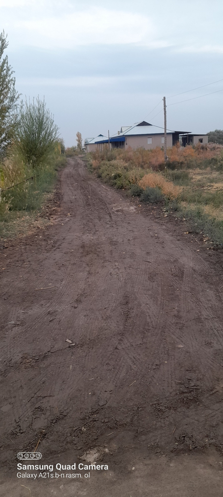 Joy ozin satiladi beruniy sapxoz Nukus yoʻl tirasdaga yaqin