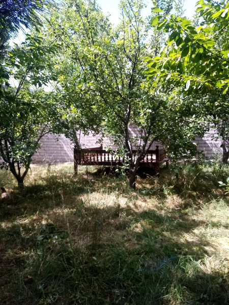 Dacha Sijjak! Oila va ulfatlar uchun