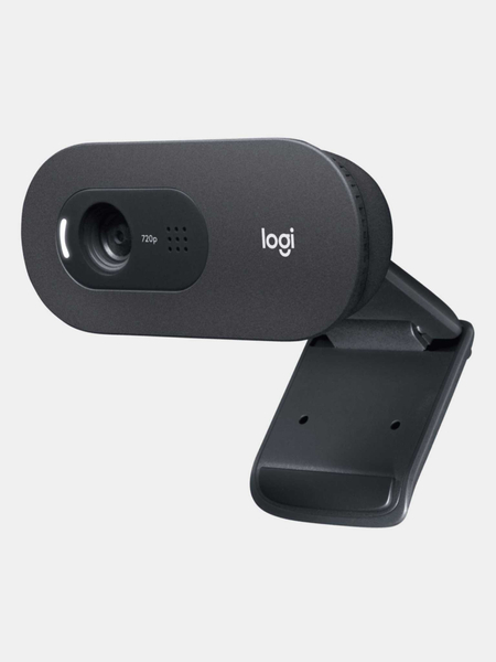 Веб камера Logitech C505 HD 30fps