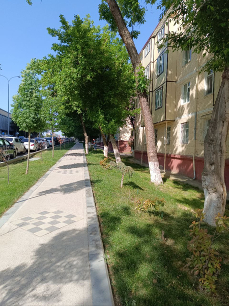 Продается квартира под офис или магазин