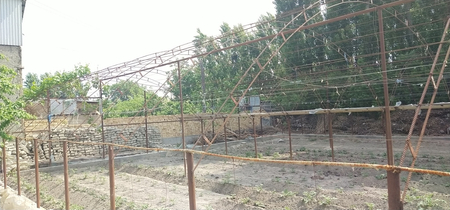 Teplitsa sotiladi