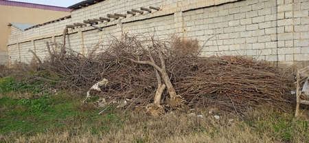 Утинлар бор. Utinlar bor.