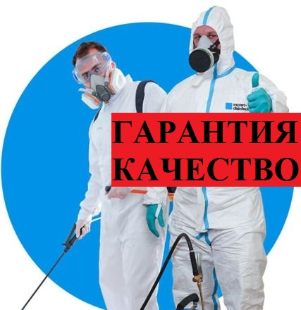 Уничтожение клопов тараканор Дезинсекия Дезинфекция klopa tarakan