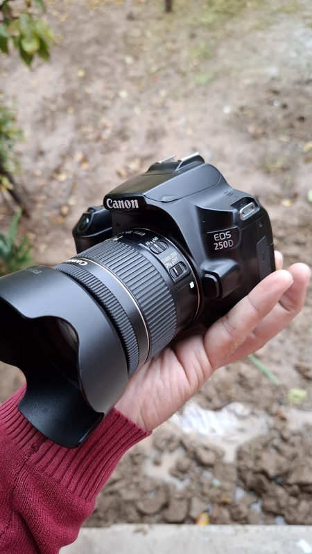 Canon 250D sotiladi