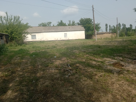 Тайор йарим гектарли вли